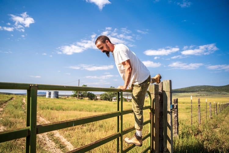 Double D Ranch changes hands | Environment | taosnews.com