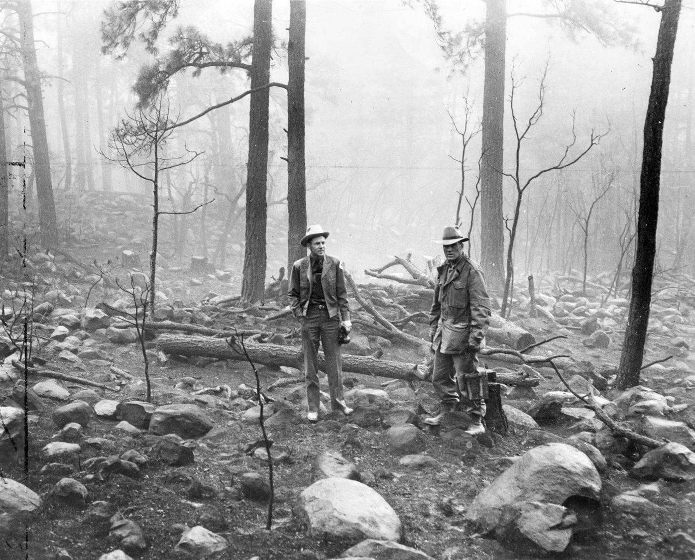 Finding Smokey | Magazines | taosnews.com