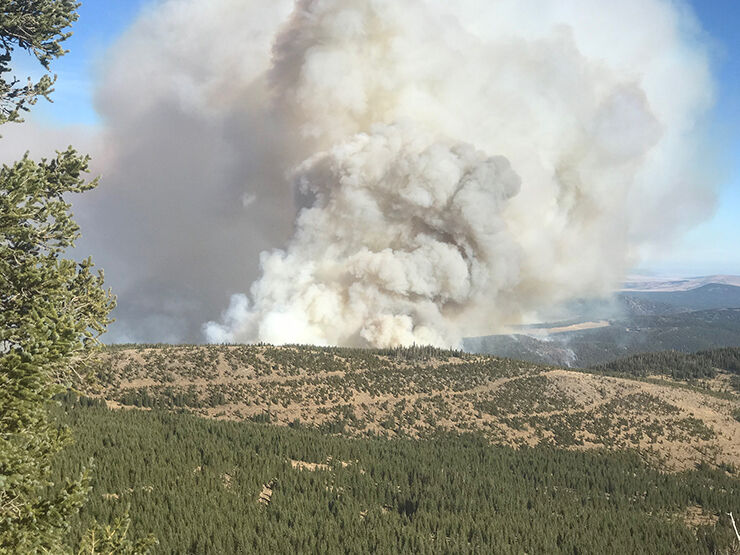 Luna fire growth slows, cause still unknown | public safety | taosnews.com