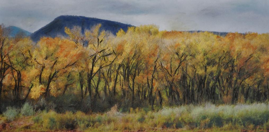 George Schaub at magpie | Arts | taosnews.com