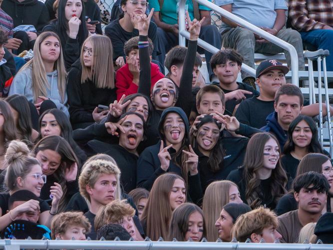 Bloomfield eclipse Tigers | Football | taosnews.com