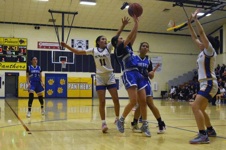 Lady Panthers finish second in district 5-2A | Basketball | taosnews.com