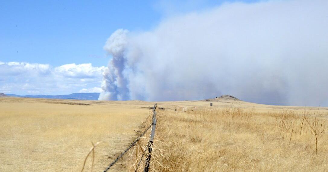 Crews begin to tame Cooks Peak Fire | public safety | taosnews.com