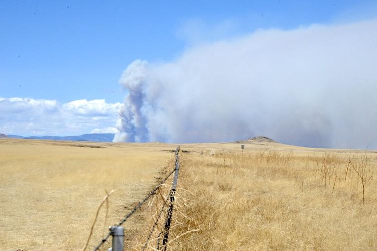 Crews begin to tame Cooks Peak Fire | public safety | taosnews.com
