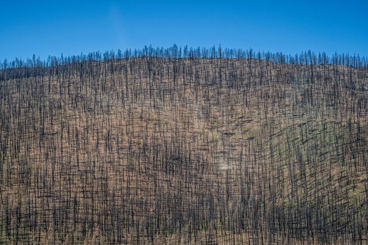 FEMA official overseeing NM fire victims fund received six-figure ...