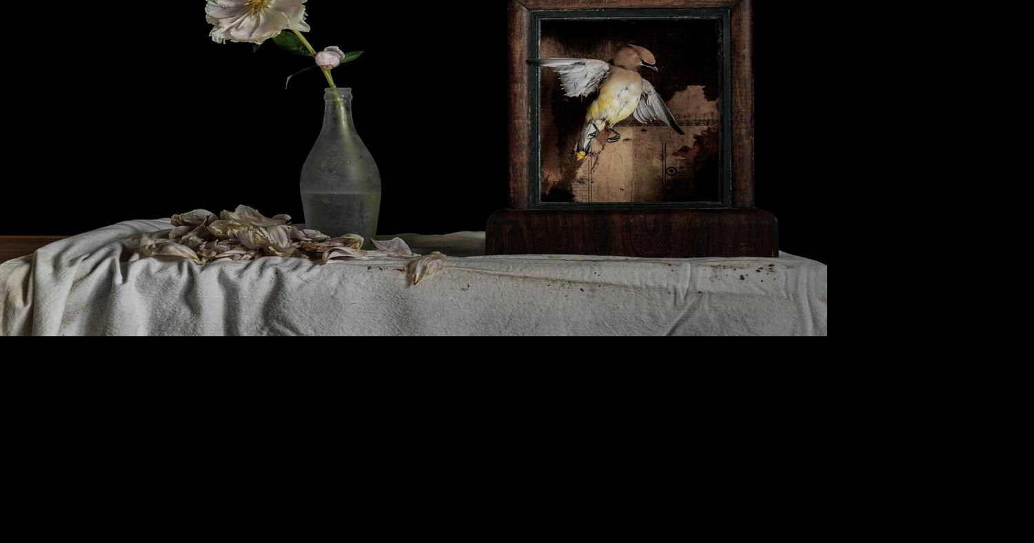 Self-quarantine still lifes | Arts | taosnews.com