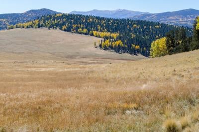 Valle Vidal water heart of proposal | Environment | taosnews.com