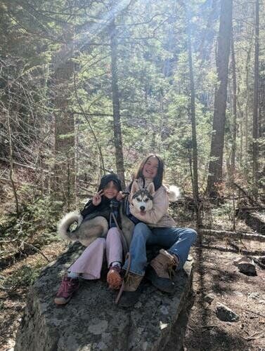 Neighbor moves on after Questa puppy death | public safety | taosnews.com