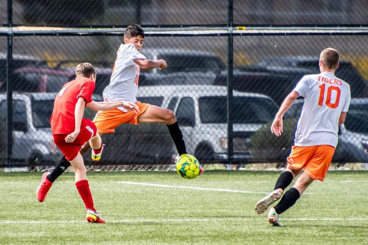 Young Tigers soccer squad loses three in a row | Sports | taosnews.com