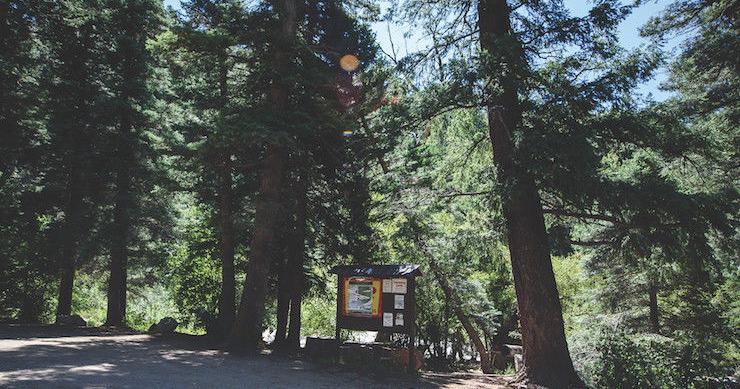 Carson NF lifts fire restrictions | Environment | taosnews.com