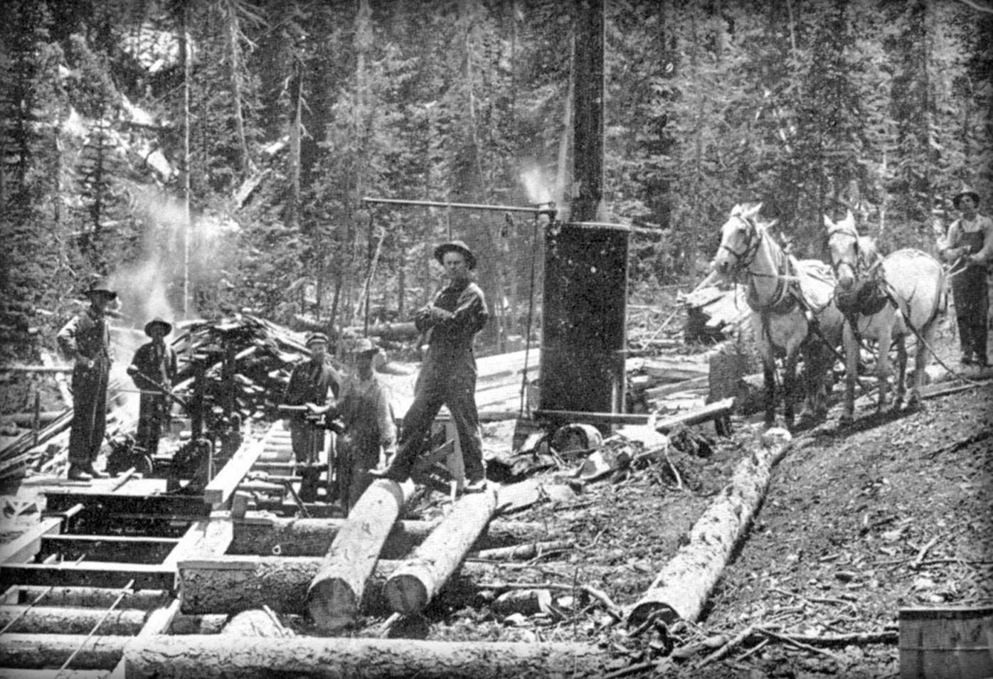 Gold mining vein runs deep in Red River's history | La Vida | taosnews.com