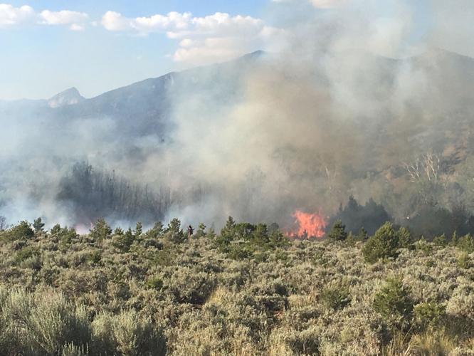 'High-risk' wildfire under control near Witt Road, Taos Canyon ...