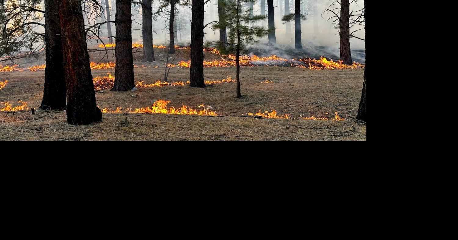 Crews begin prescribed fire near El Rito and Vallecitos, others ...