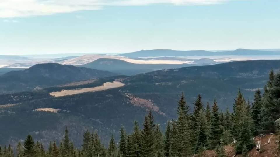 Luna Fire down sized , structures could be threatened | public safety ...