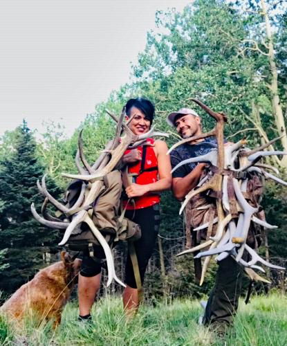New antler collecting law goes into effect | Environment | taosnews.com