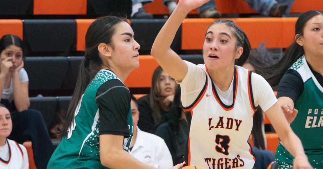 Elkettes evade Lady Tigers | Sports | taosnews.com