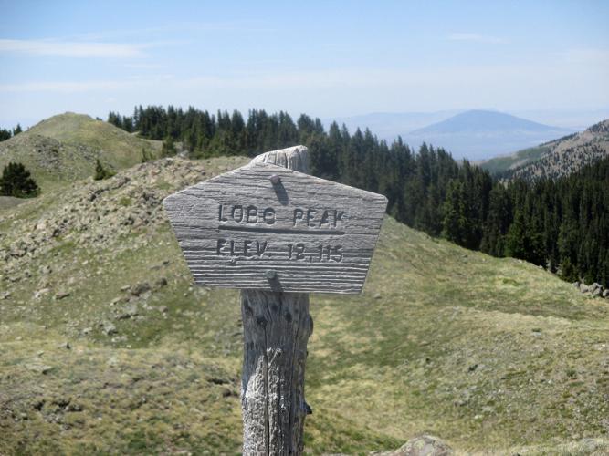 Lobo Peak Loop makes great summer hiking | La Vida | taosnews.com