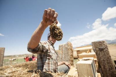 Beekeeping keeps Jason Goodhue a busy bee | Business | taosnews.com