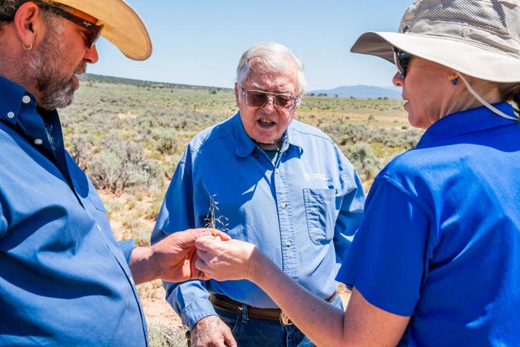 Geologist, educator, rancher Tony Benson dies at 85 | Local News ...