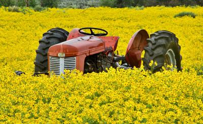 Parting Shot | Tempo | taosnews.com