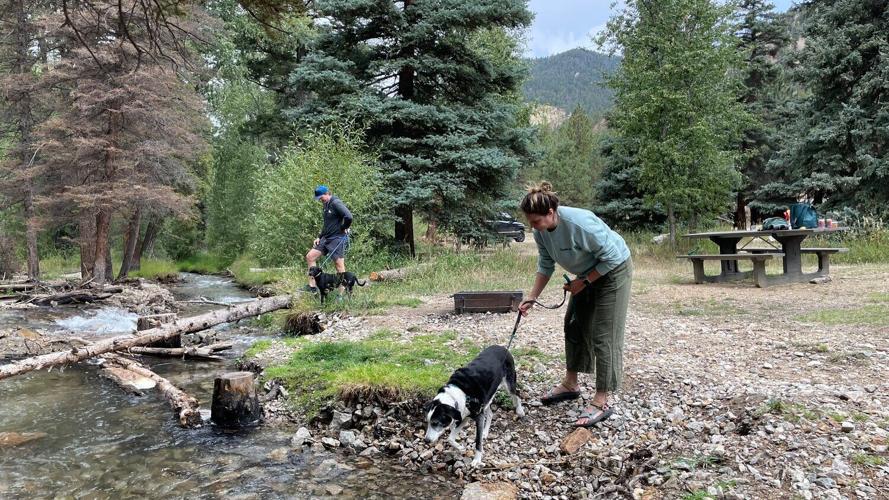 A new path from Questa to Red River, Goat Hill to Junebug | Environment ...