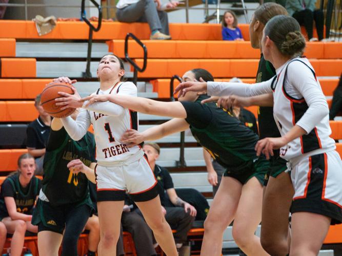 Lady Tigers' turnover and free throw woes | Sports | taosnews.com