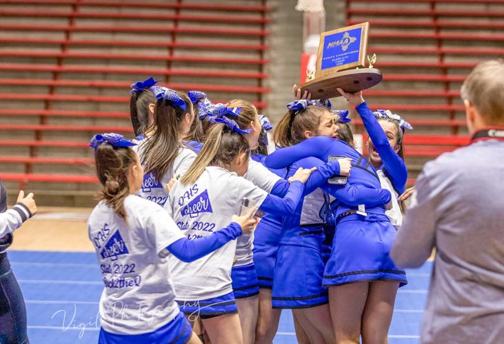 Tigers, Wildcats take home trophies at State Cheer Championship | Prep ...