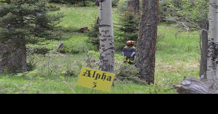 Wolverine Target | | taosnews.com