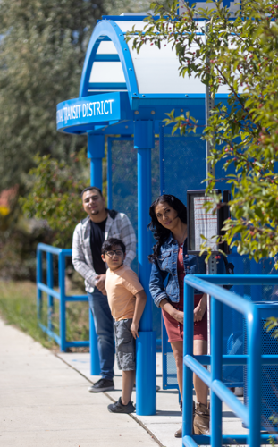 Success Stories: The Blue Bus Celebrates 20 Years | Sponsored ...