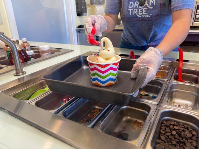 DreamTree acquires Ziggy's Frozen Yogurt | Business | taosnews.com