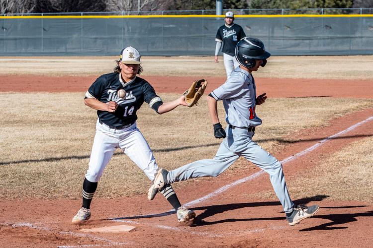 Tigers slug away Raton in season opener | Baseball | taosnews.com