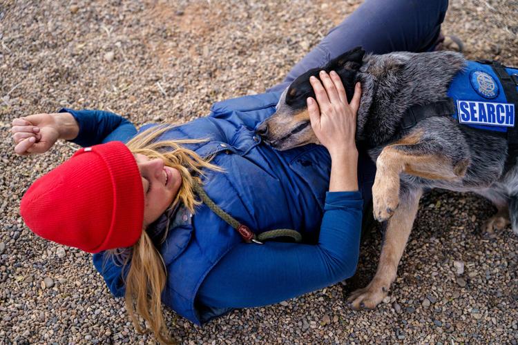 Search and rescue K9 unit keeps training front and center | Animals in ...