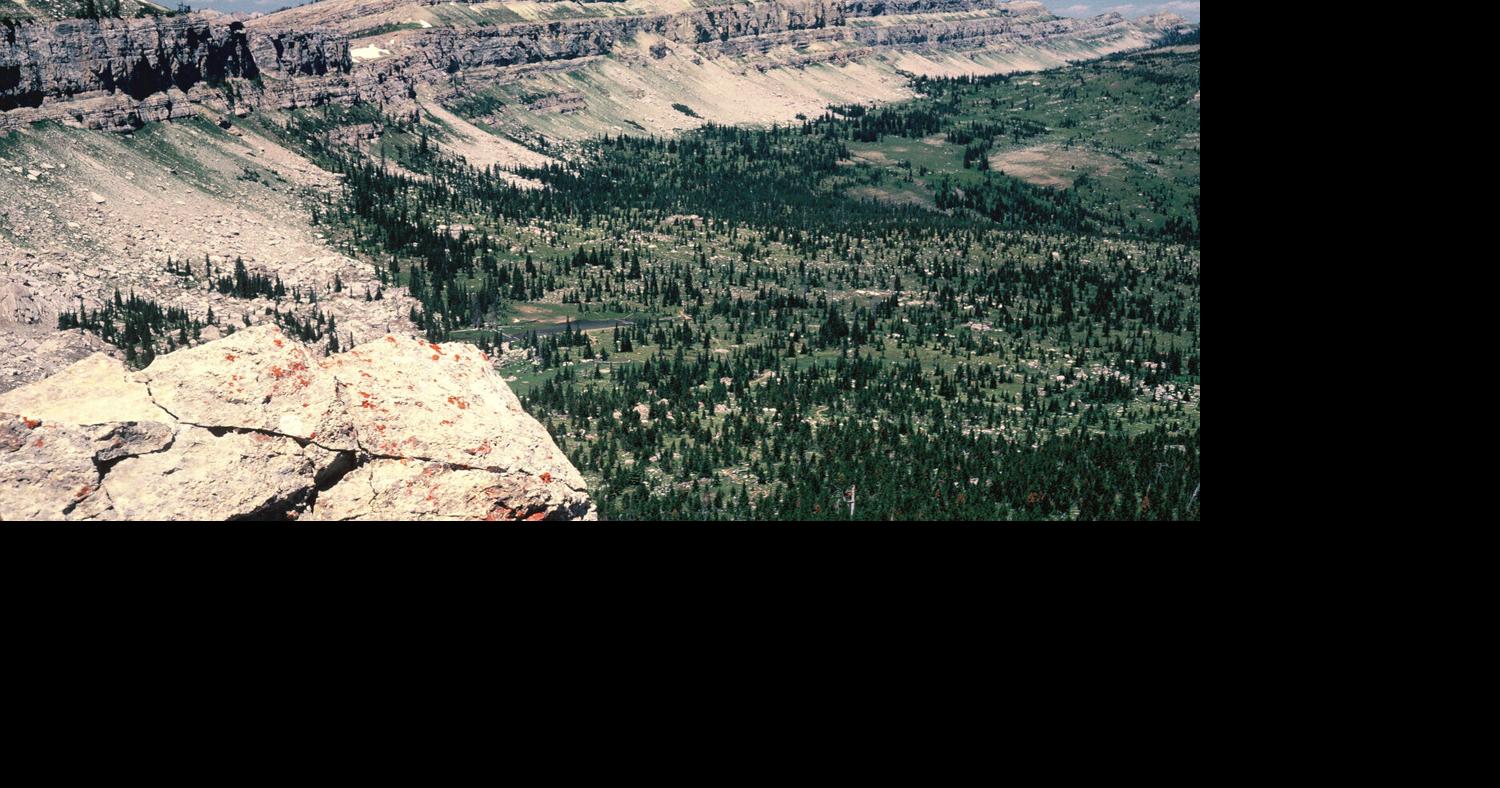 Mountain bikers push for wilderness access | Columns | taosnews.com