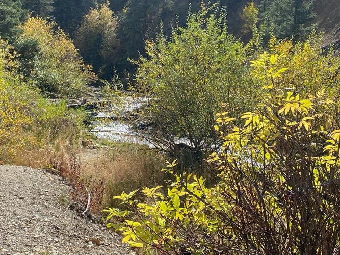 Campgrounds reopen across Carson National Forest | Environment ...