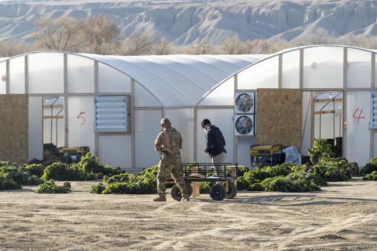 Police raid near Shiprock all but ends an illicit cannabis-growing ...