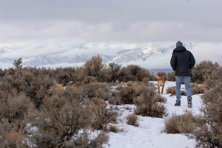 Winter storm delights Enchanted Circle | Environment | taosnews.com