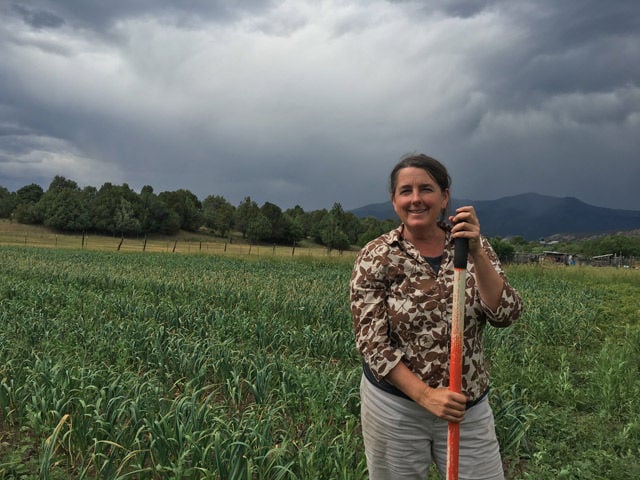 Getting Down to Business with Boxcar Farm | News | taosnews.com