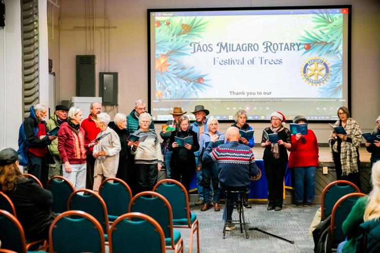 Taos Milagro Rotary's Annual Festival of Trees | Photo Galleries ...