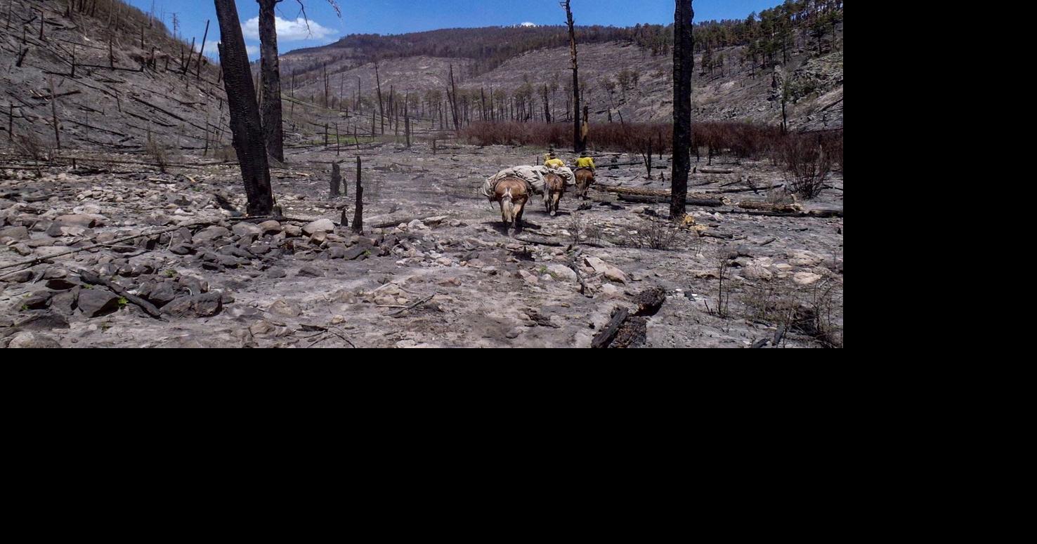 Megafires pose increasing threat to New Mexico's native trout ...