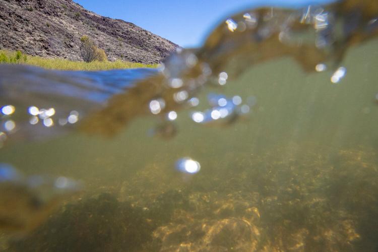 Rafters, ranchers and acequieros cope with historic drought ...