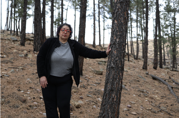 FEMA official overseeing NM fire victims fund received six-figure ...