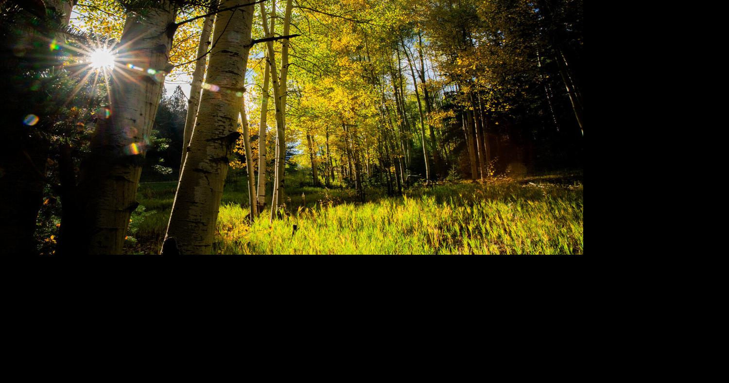 Getting into the rhythm of fall | Columns | taosnews.com