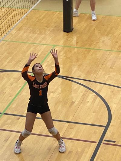 Taos Tigers Sports Roundup | Sports | taosnews.com