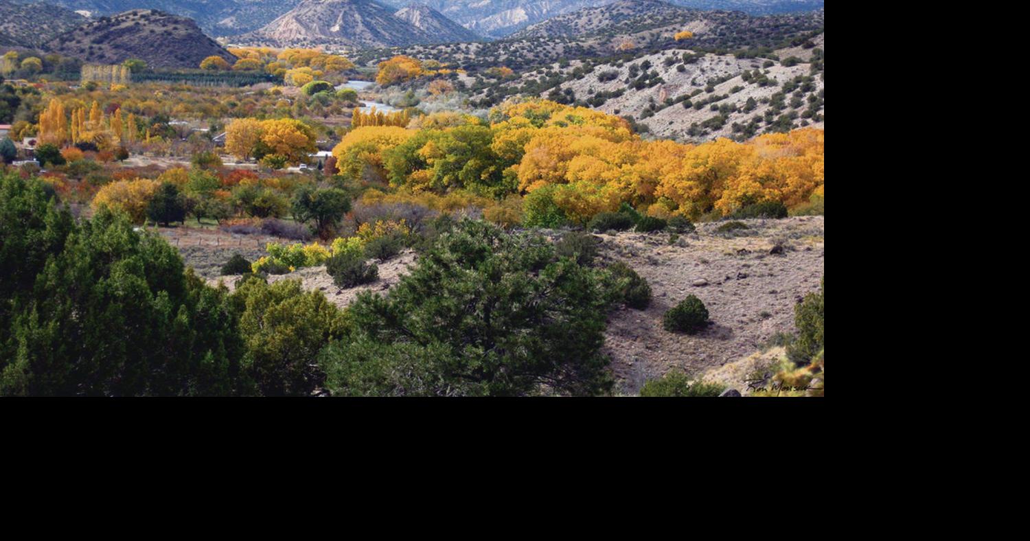 Dixon Studio Tour, a creative confluence | Arts | taosnews.com