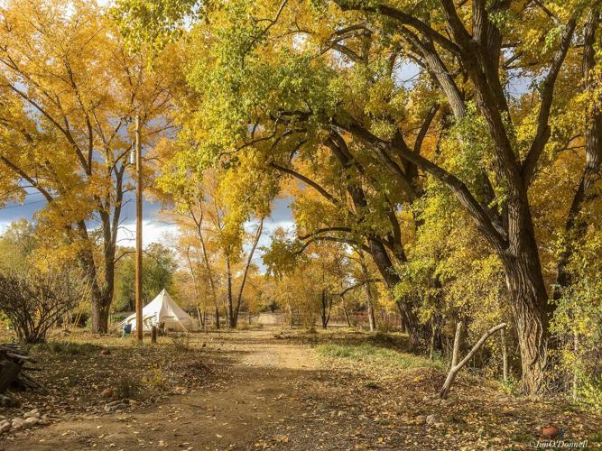 Río Fernando park protected forever | Great-outdoors | taosnews.com