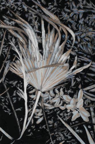 George Schaub at magpie | Arts | taosnews.com