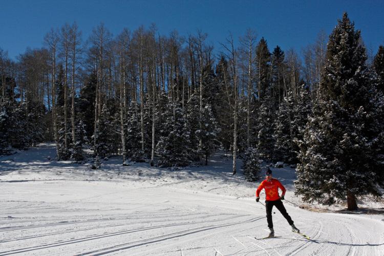 TSV Nordic area could eliminate 'veto factor' | Environment | taosnews.com