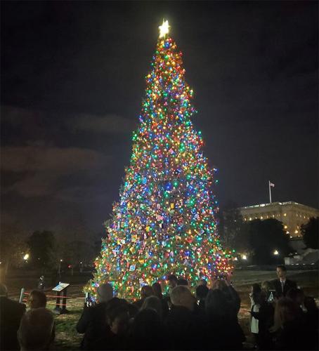 Officials light up U.S. Capitol Christmas Tree from Carson National ...