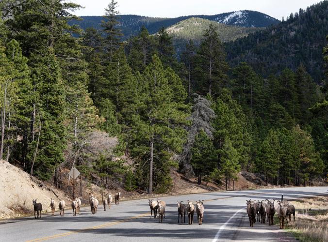 RED RIVER An exciting small town where days are cool and the living is ...