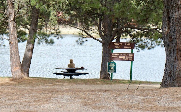 Angel Fire Police search ashes after house fire, officer-involved ...